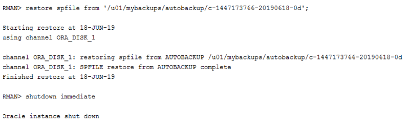Restore Using Rman To Create Oracle 12c Database On