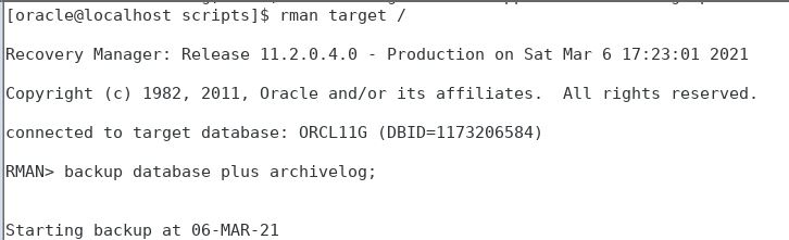 Oracle 19c Database Upgrade From 11 2 0 4 To 19 0 0 0 Using Dbua
