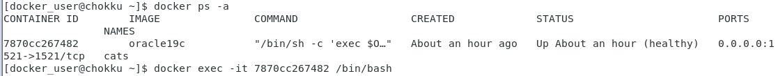 Installing Oracle Apex In Docker Doyensys Blog