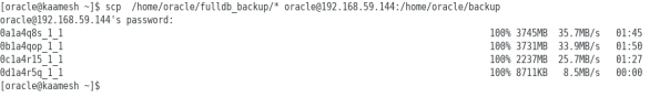 Backup Based Database Cloning Doyensys Blog