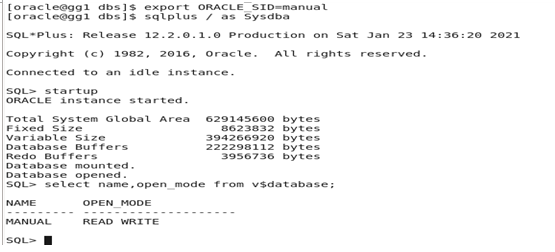 MANUAL DATABASE CREATION - Oracle Consulting Services | USA | 99% ...